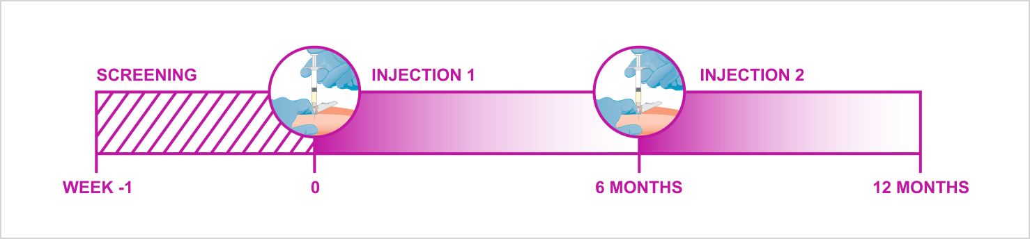 At a glance - Fensolvi Information Center